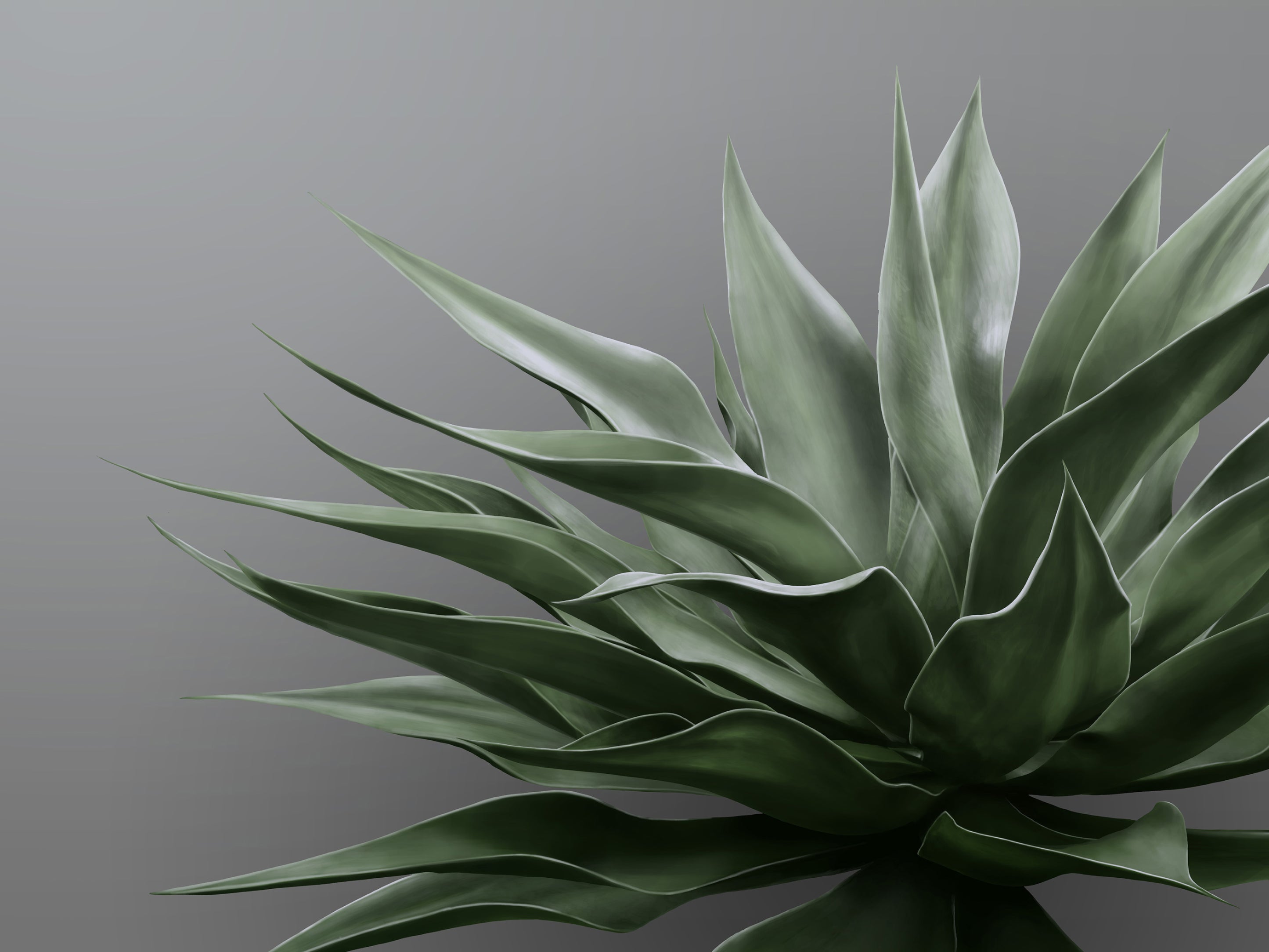 Green on Grey Agave Mural Wallpaper – Flying Dutchman Walls